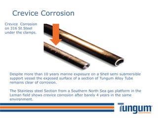 Tungum Presentation Annotated version | PPT
