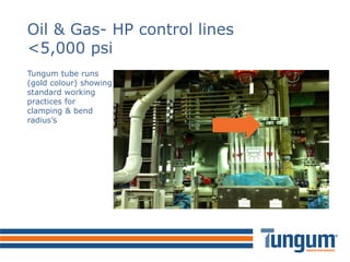 Tungum Presentation Annotated version | PPT