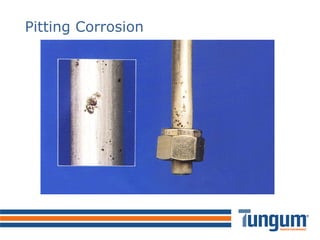 Tungum Presentation Annotated version | PPT