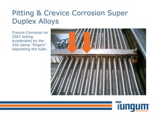 Tungum Presentation Annotated version | PPT