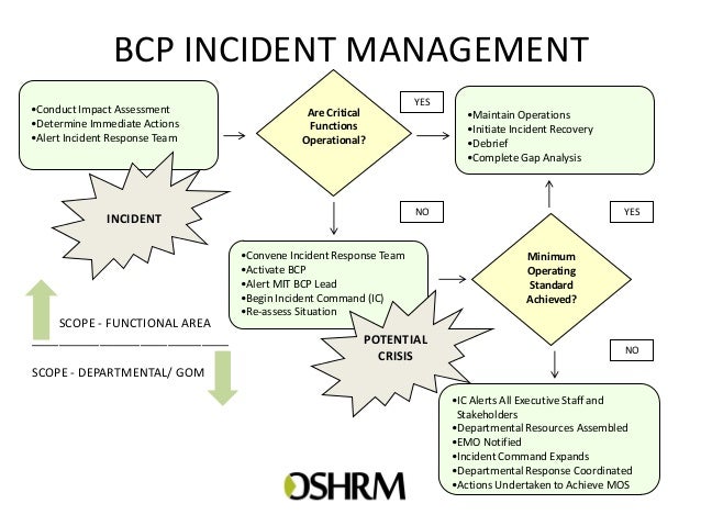 Business Continuity A Primer Andrews - September 2015
