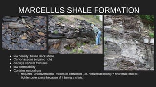 Shale Gas | PPTX