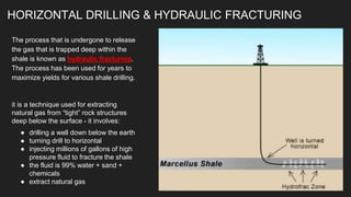 Shale Gas | PPTX