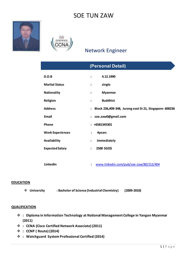 My CV for Network Engineer | DOCX | Computer Networking | Computing