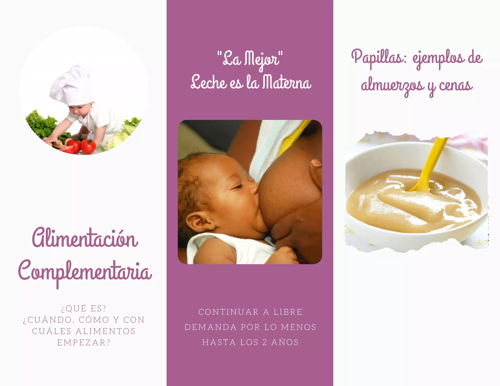 Folleto Lactancia Materna + Alimentación Complementaria | PDF