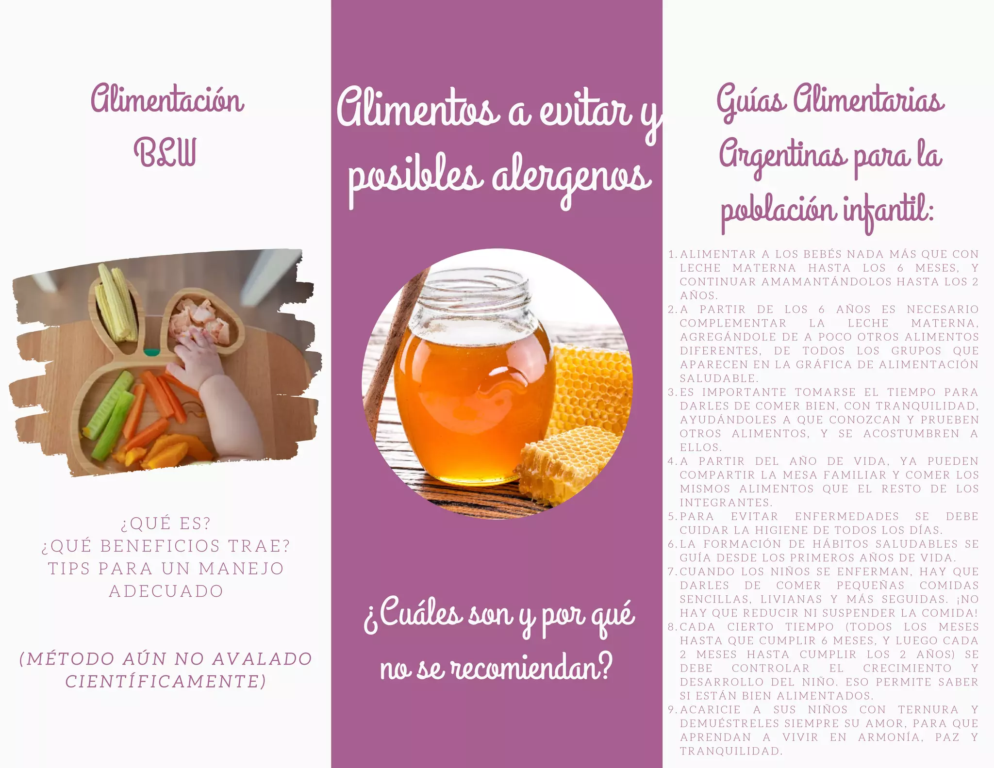 Folleto Lactancia Materna + Alimentación Complementaria | PDF
