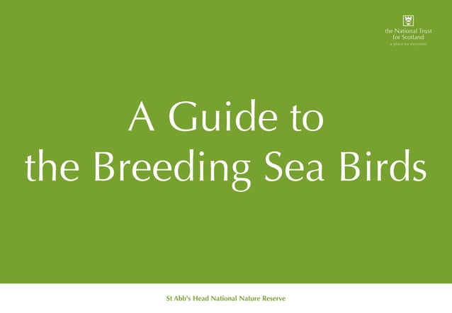 Seabird Info Sheets | PPT