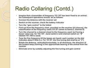 Wildlife Radio Collaring | PPTX