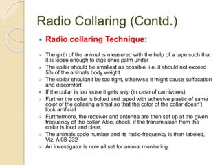 Wildlife Radio Collaring | PPTX