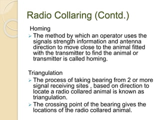 Wildlife Radio Collaring | PPTX
