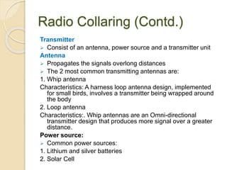 Wildlife Radio Collaring | PPTX