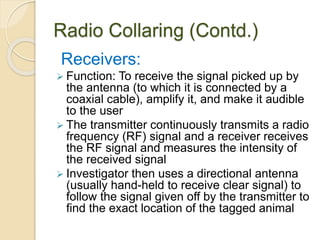 Wildlife Radio Collaring | PPTX
