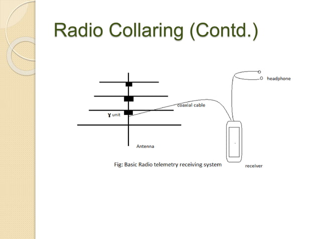 Wildlife Radio Collaring | PPTX | Dogs | Pets