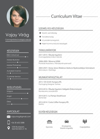 VajayV_CV_ILL_HUN | PDF