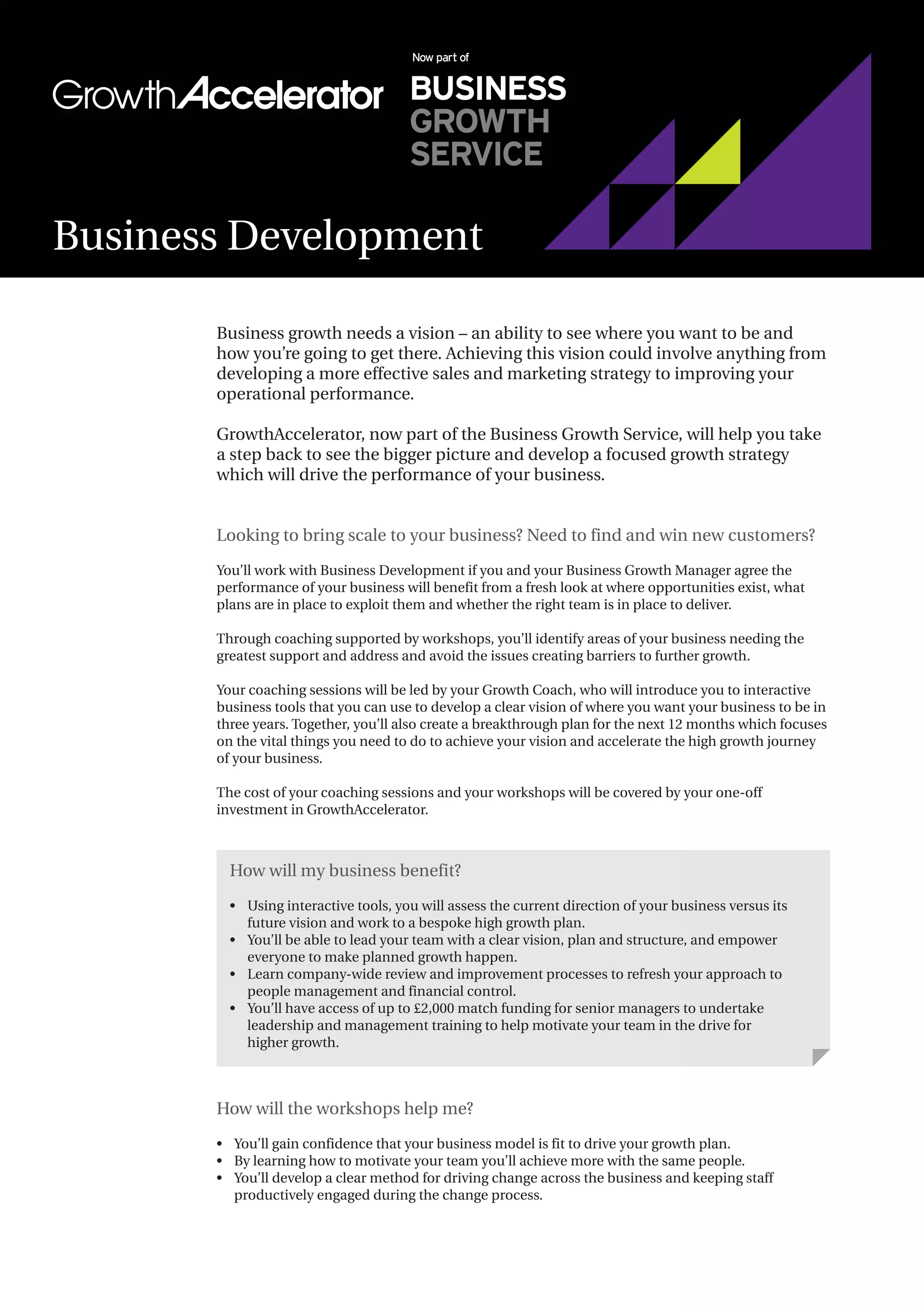 Business Development flyer | PDF