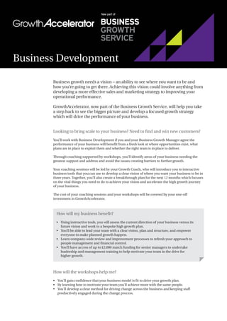 Business Development flyer | PDF