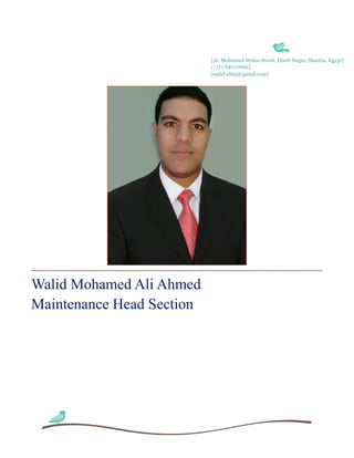 Walid Mohamed Ali Ahmed | PDF