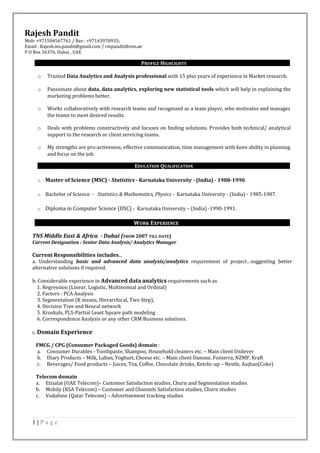 Rajesh-Pandit-Analytics-Manager-CV | DOC | Business Administration ...