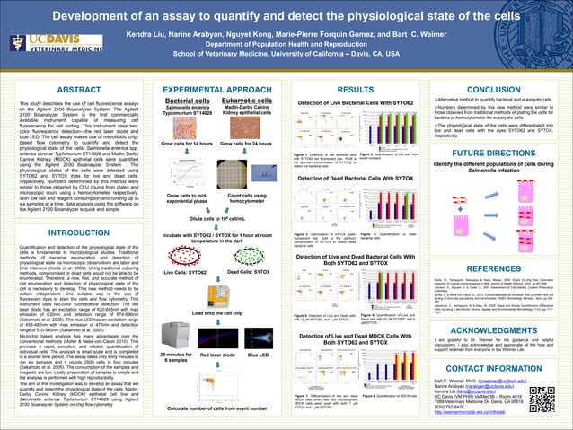 Undergraduate Research Conference Poster 2015 | PDF