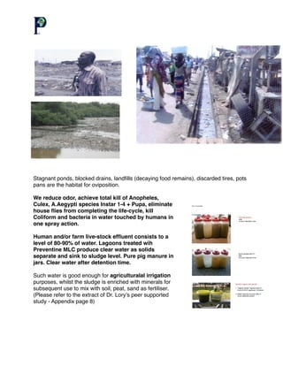 MLC Cover Report V8c PDF | PDF