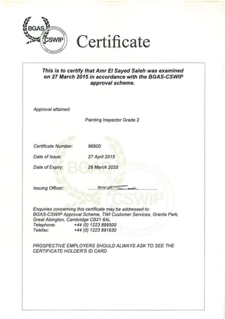 BGAS-CSWIP painting inspector | PDF