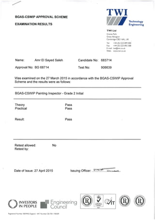 BGAS-CSWIP painting inspector | PDF