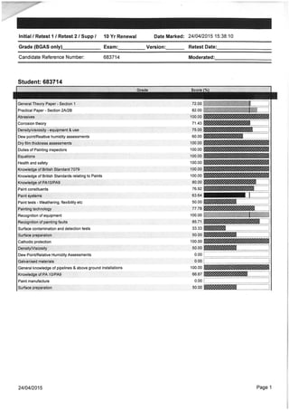 BGAS-CSWIP painting inspector | PDF