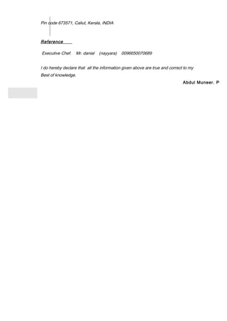 muneercv (1) (1) | PDF