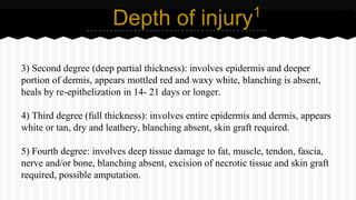 Burns inservice | PPT