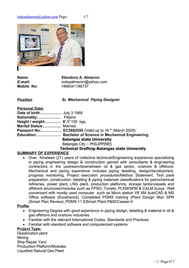 Piping Designer CV | PDF | Civil Engineering Industry | Industries