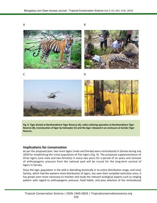 Monitoring of reintroduced tigers in Sariska tiger reserve_Sankar_et_al ...
