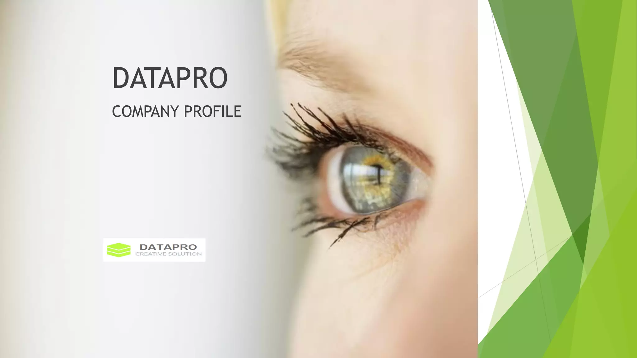 DataPro-Company Profile | PDF | Cloud Computing | Internet