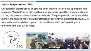 Special Support Group (SSG) | PDF