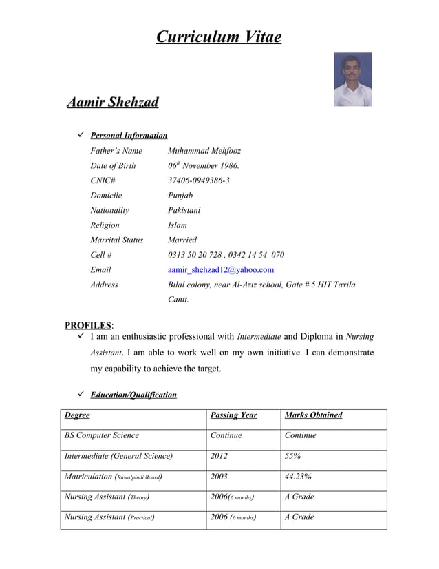 aamir_CV nov2012 | PDF