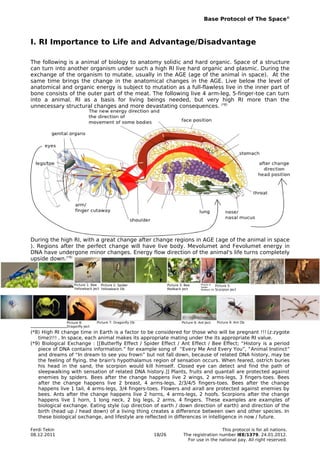Base Protocol of The Space | PDF