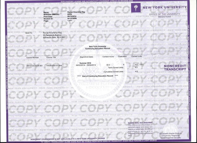 nyu transcript | PDF