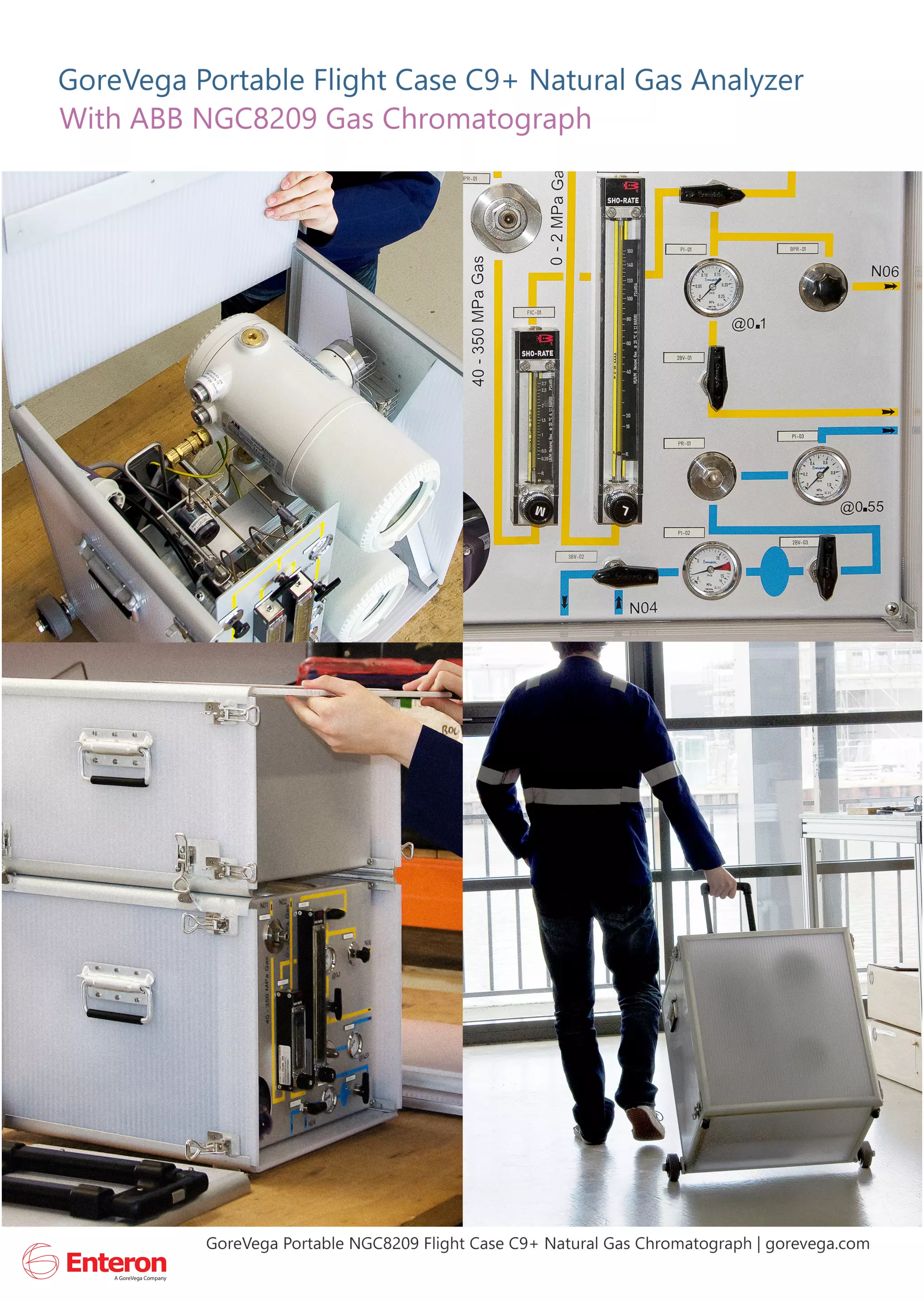 24910 Enteron Sheets | PDF