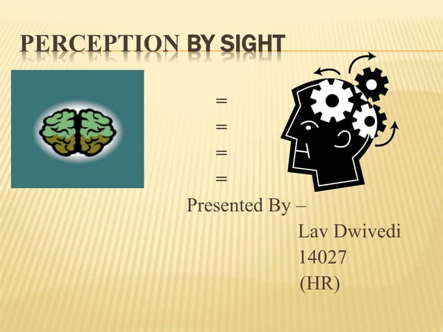 Lav PPT Perception by sight | PPTX | Science