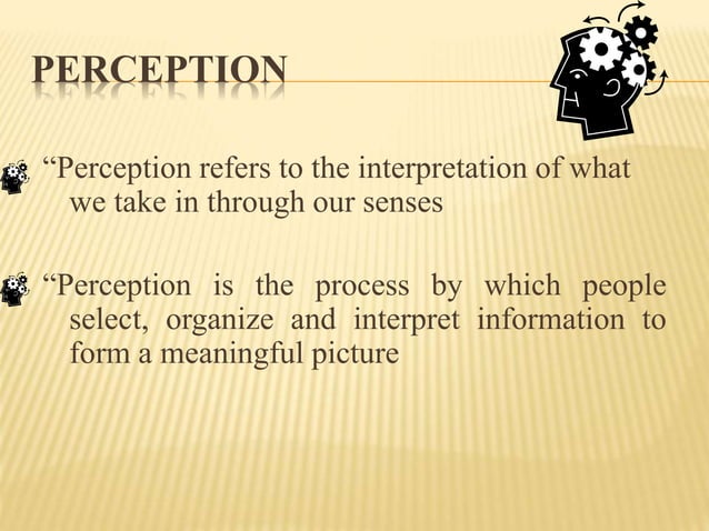 Lav PPT Perception by sight | PPTX | Science