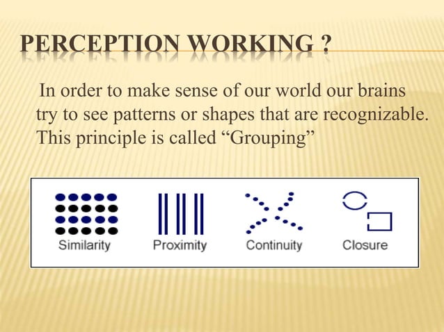 Lav PPT Perception by sight | PPTX | Science
