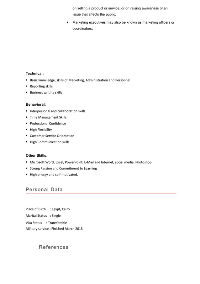 hesham CV.DOC