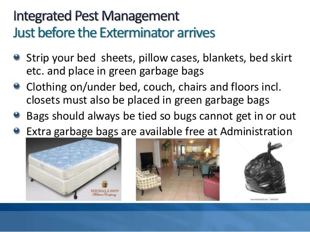 Tenant Bed Bugs Presentation