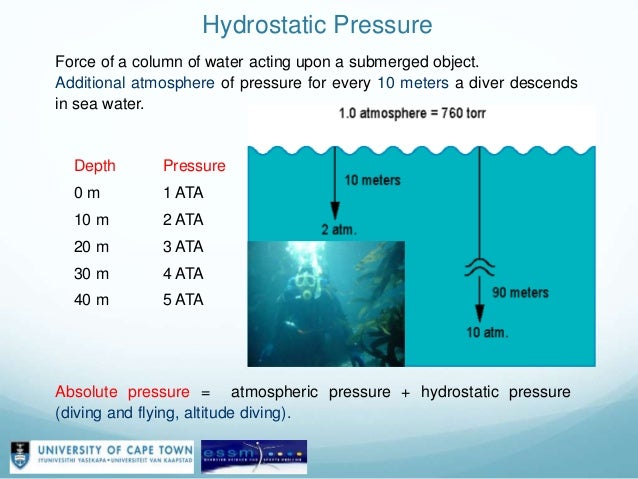 Hydrostatic Pressure Ocean