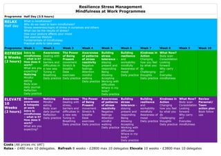 RSM mindfulness resilience and preventing stress programmes | PPT