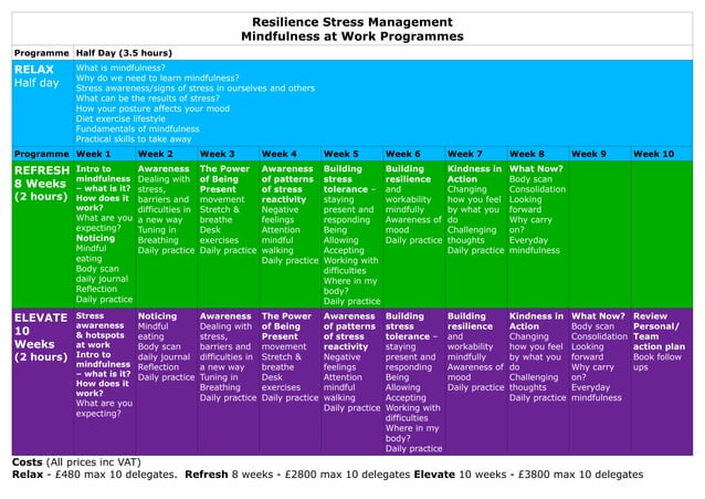 RSM mindfulness resilience and preventing stress programmes | PPT