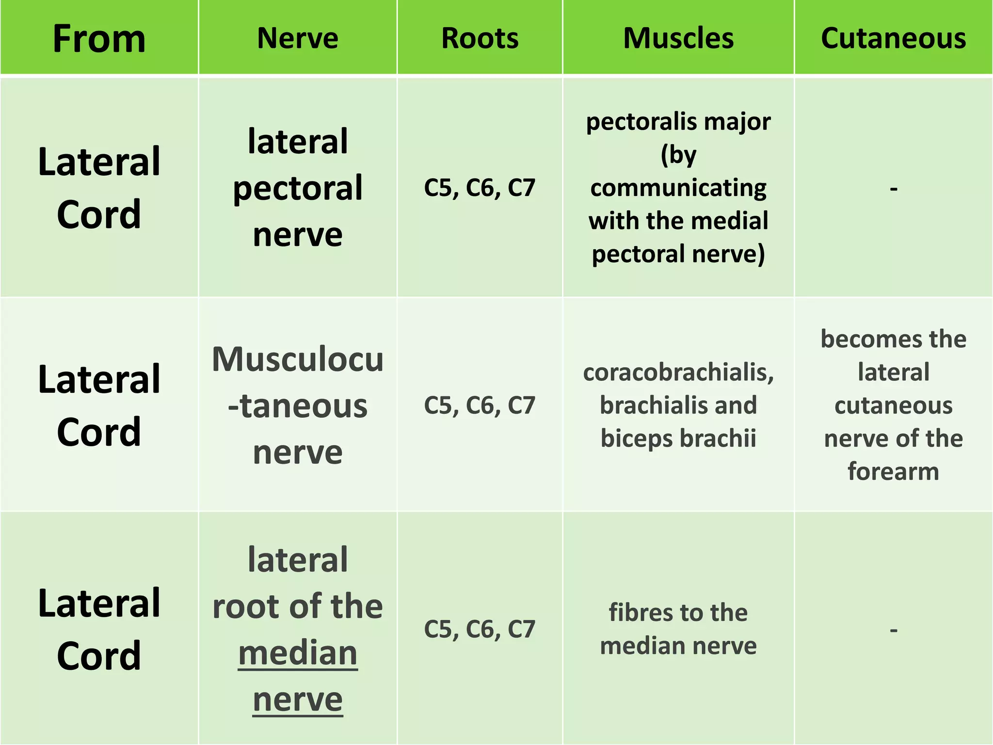Peripheral Nerve Block Part 2 | PPTX