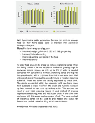 CONCEPT PAPER _ HYDROPONICS | PDF