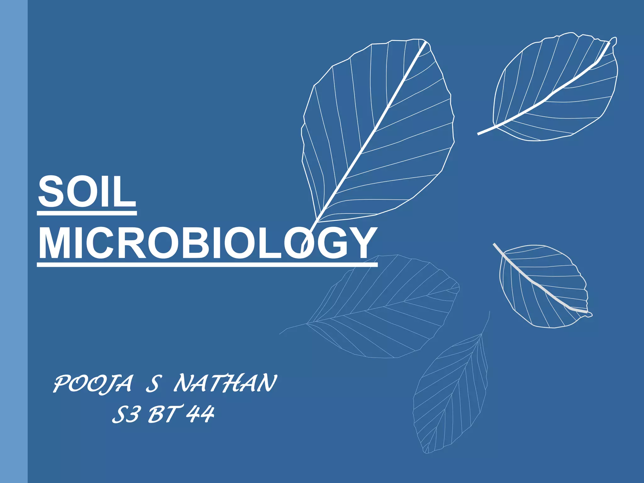 Soil Microbiology | PPTX