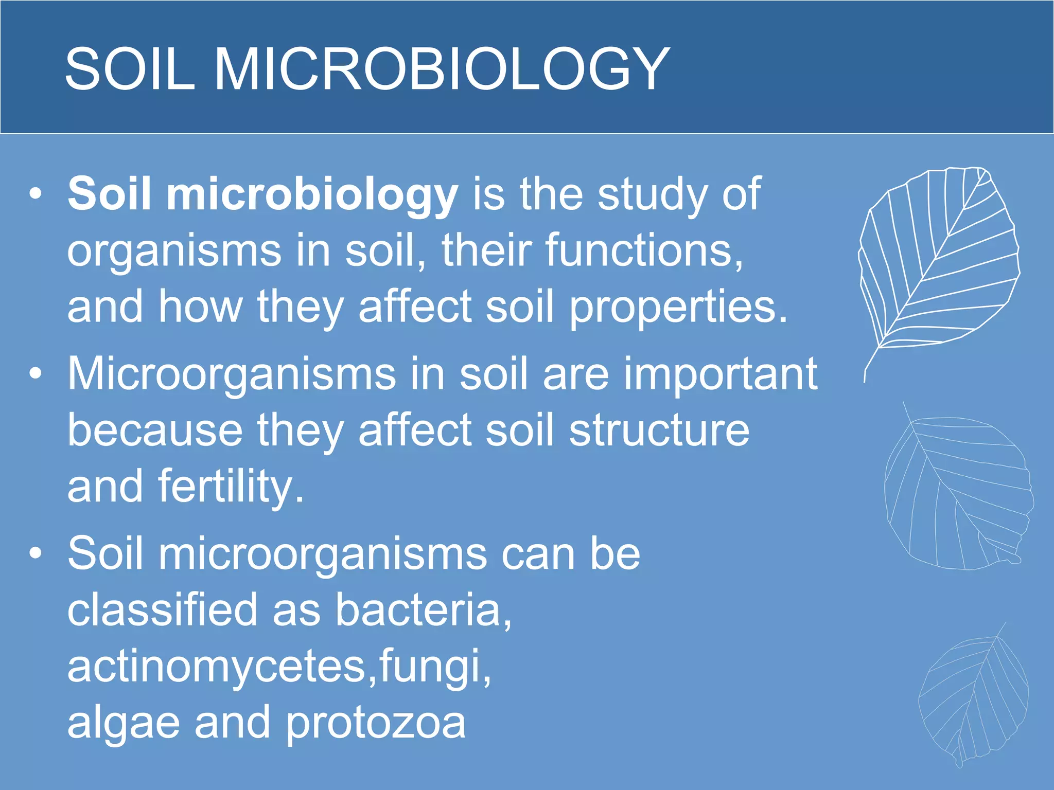 Soil Microbiology | PPTX