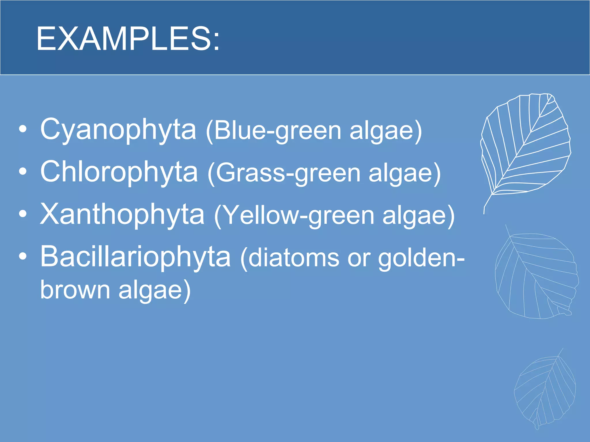 Soil Microbiology | PPTX